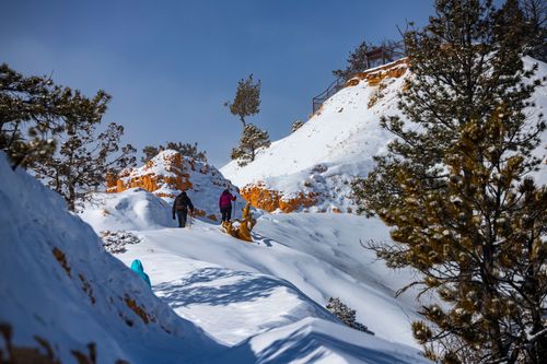 Bryce Resort Resort Guide - Real Reviews From Real Skiers