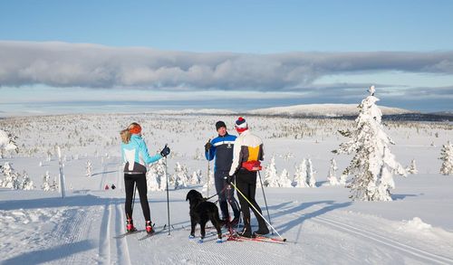 Budor Resort Guide - Real Reviews From Real Skiers