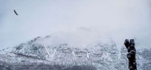 Oppdal Resort Guide - Real Reviews From Real Skiers