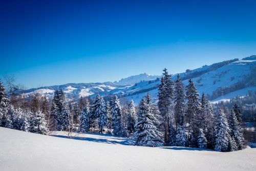 Ricken Resort Guide - Real Reviews From Real Skiers