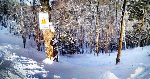 Snow Ridge Resort Guide - Real Reviews From Real Skiers